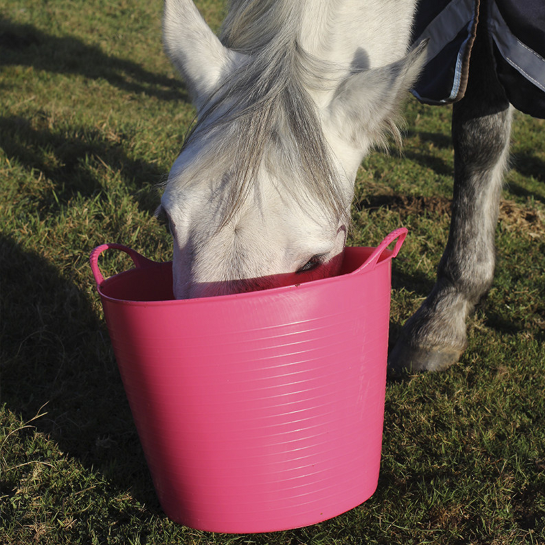 Equine - Gorilla Tubs® – Red Gorilla - Australia